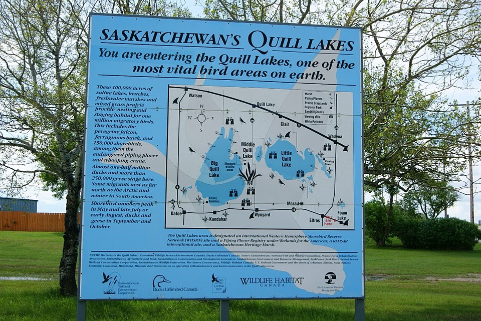 Quill Lakes Investigation | Resource Bank