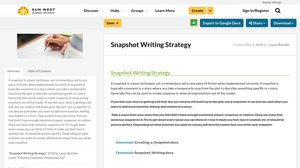 Snapshot Writing Strategy | Resource Bank