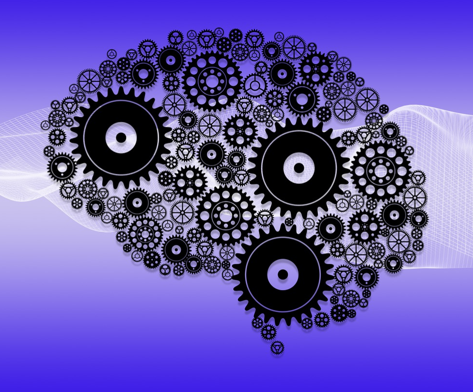 Assessment | OER Commons